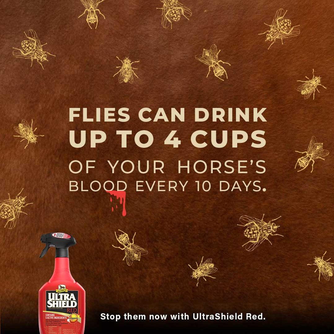 UltraShield Red Insecticide & Repellent Fly Spray — Jeffers