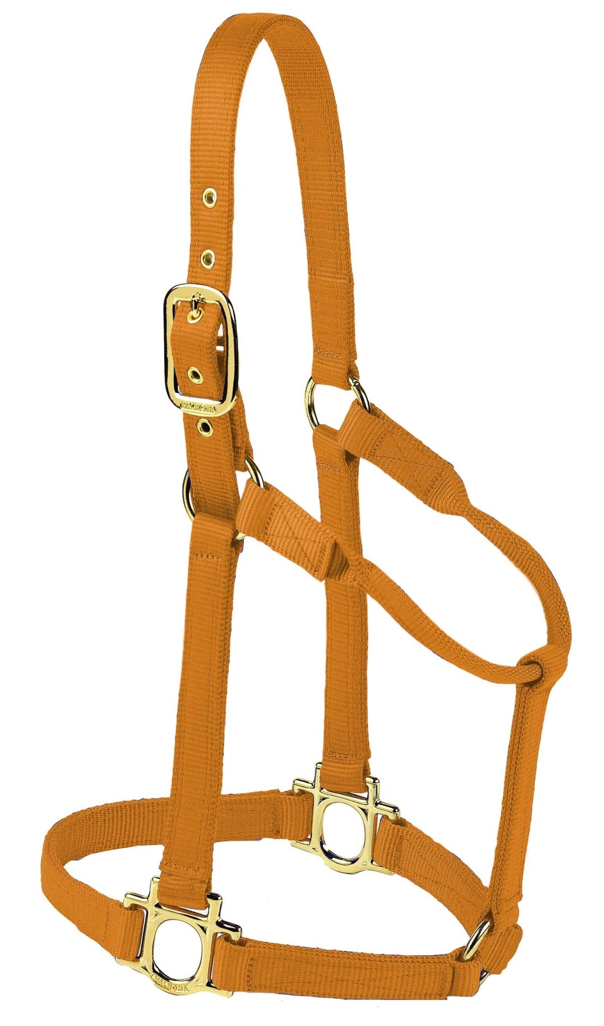 Valhoma Premium Nylon Horse Halter — Jeffers