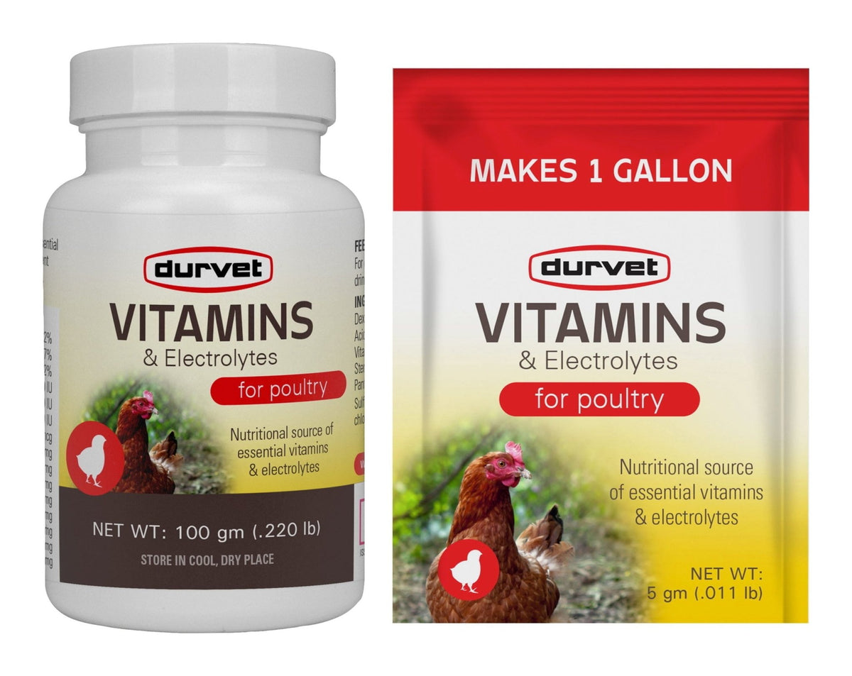 Durvet Vitamins & Electrolytes For Poultry, 100 gm — Jeffers