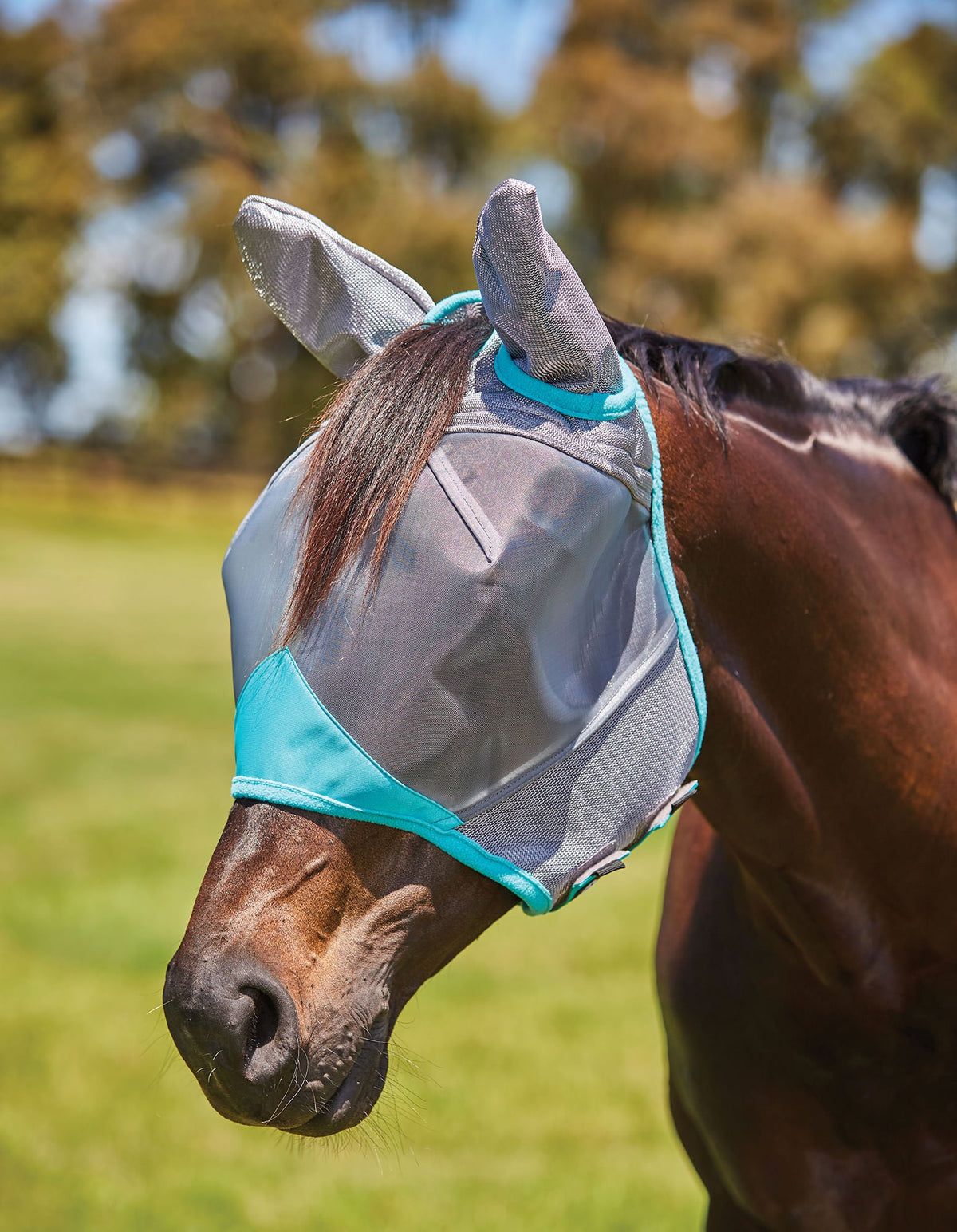 WeatherBeeta ComFITec Deluxe Fine Mesh Fly Mask with Ears for Horses ...