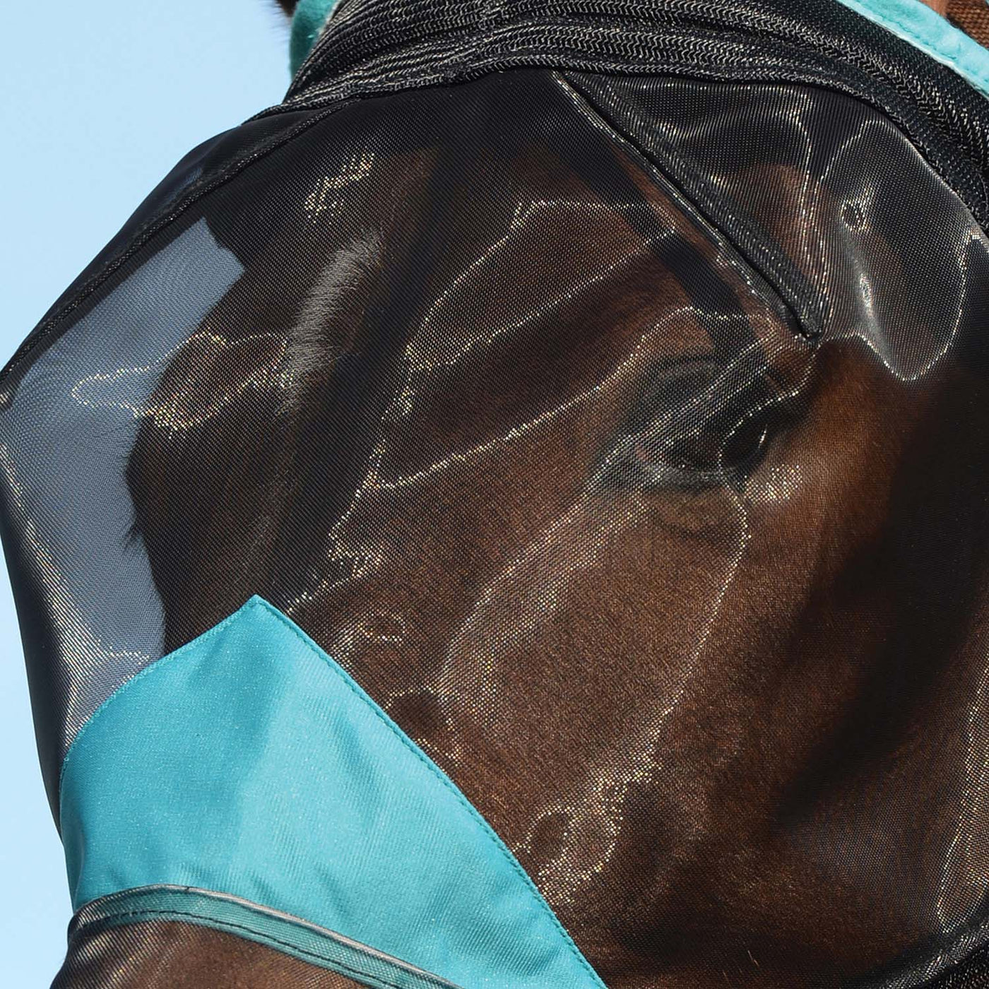 WeatherBeeta ComFITec Deluxe Fine Mesh Fly Mask with Nose for Horses ...