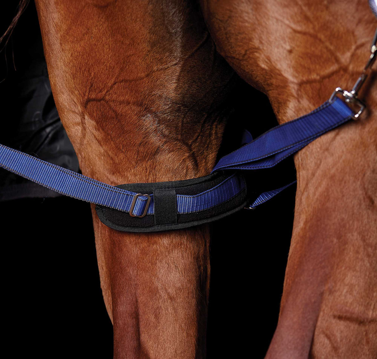 WeatherBeeta Padded Hind Leg Straps for Horses, Pair — Jeffers