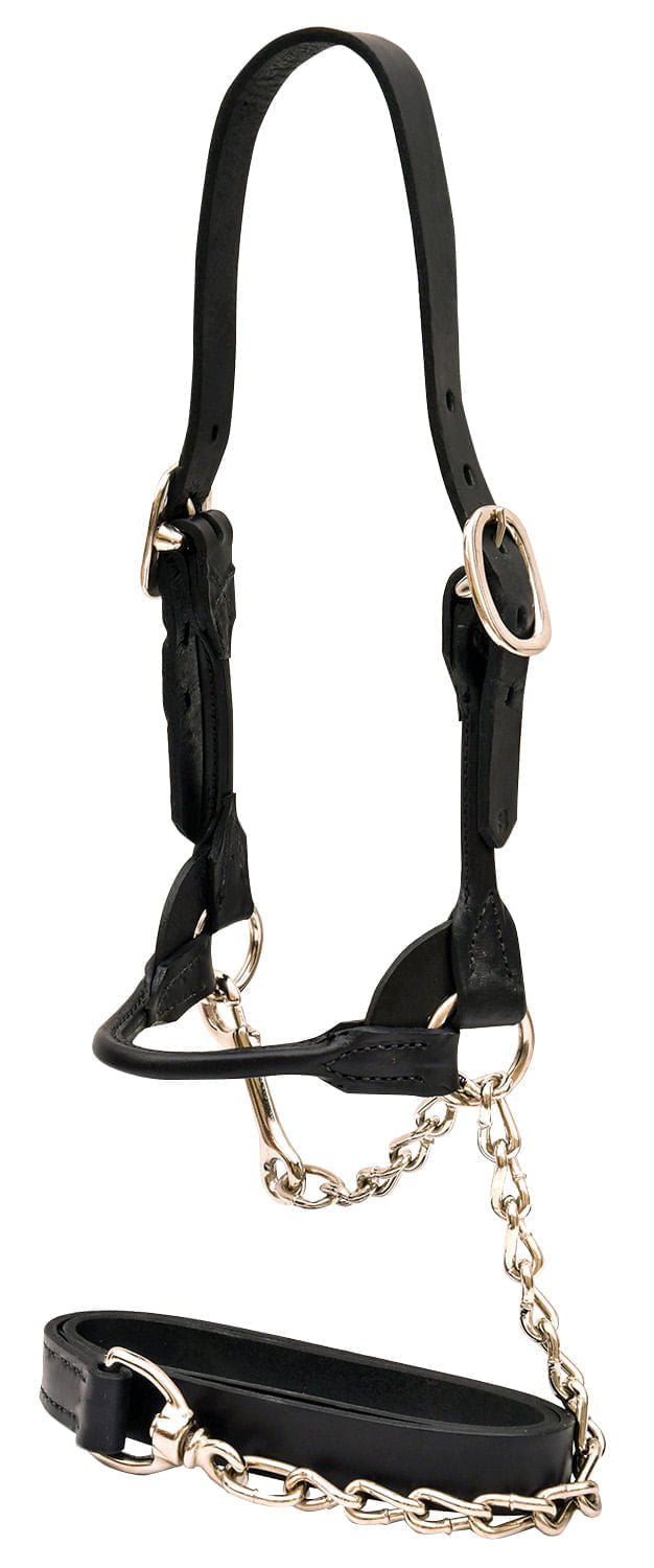 Classic Rounded Cattle Show Halter, Large — Jeffers