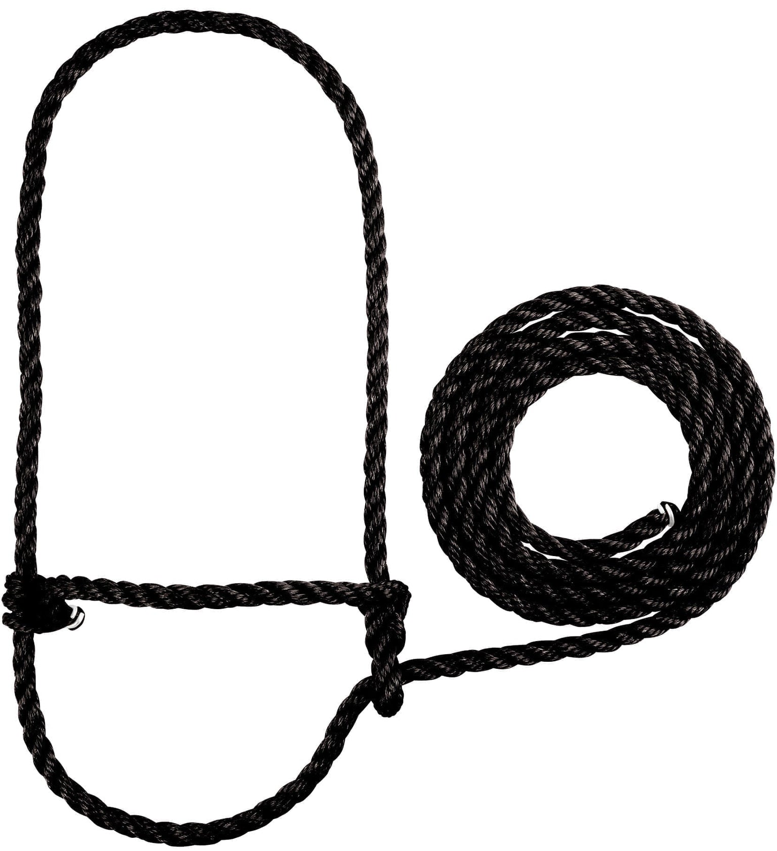 Cow & Cattle Halters — Jeffers