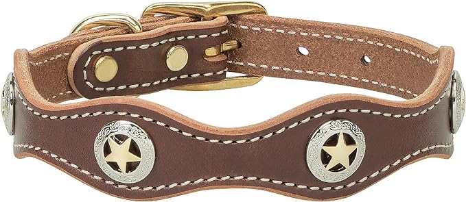 Weaver Lonestar Dog Collar, 1" Wide — Jeffers