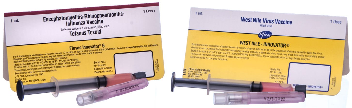 Zoetis Premium Vaccination Kit for Horses (6-way plus West Nile Vaccine ...
